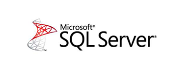 Microsoft SQL Server 2016 4